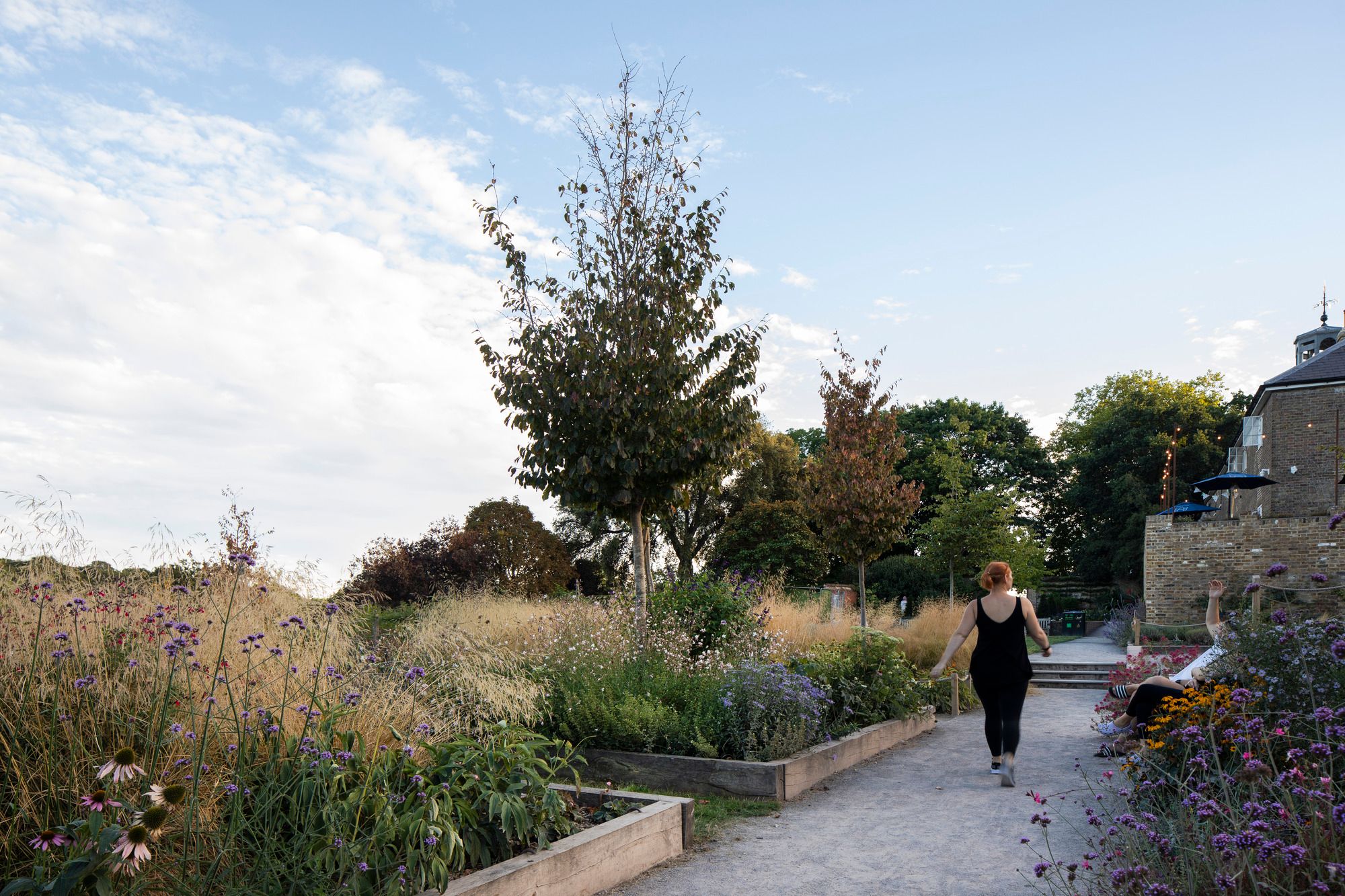 Landscape and biodiversity | BDP