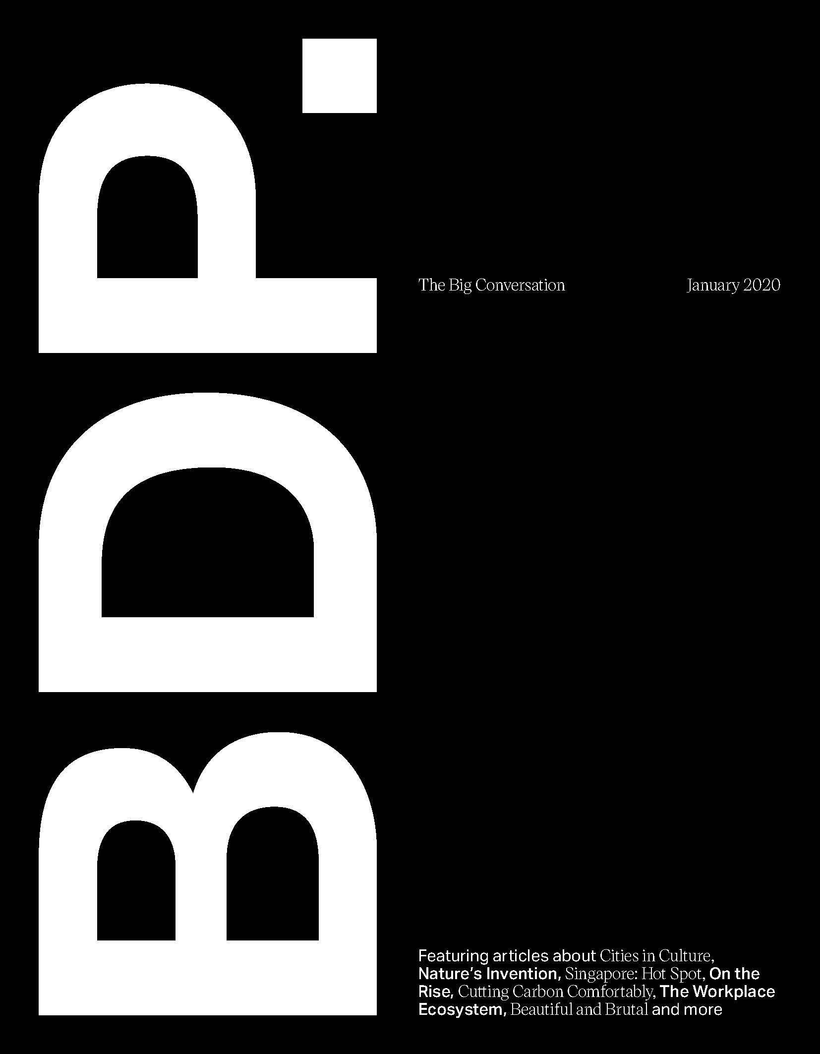 The Big Conversation 2020 | BDP