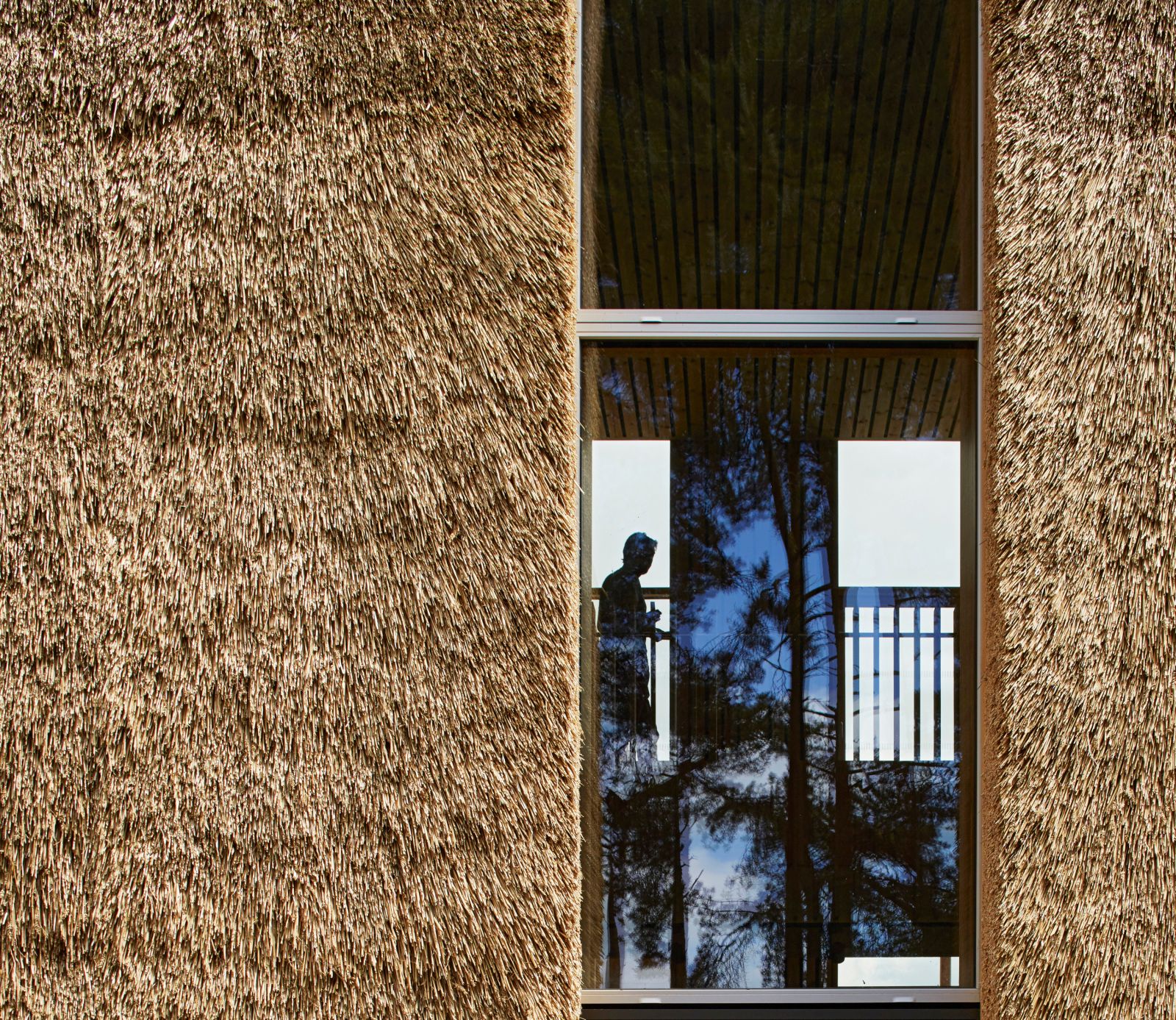 Building Services Engineering | BDP