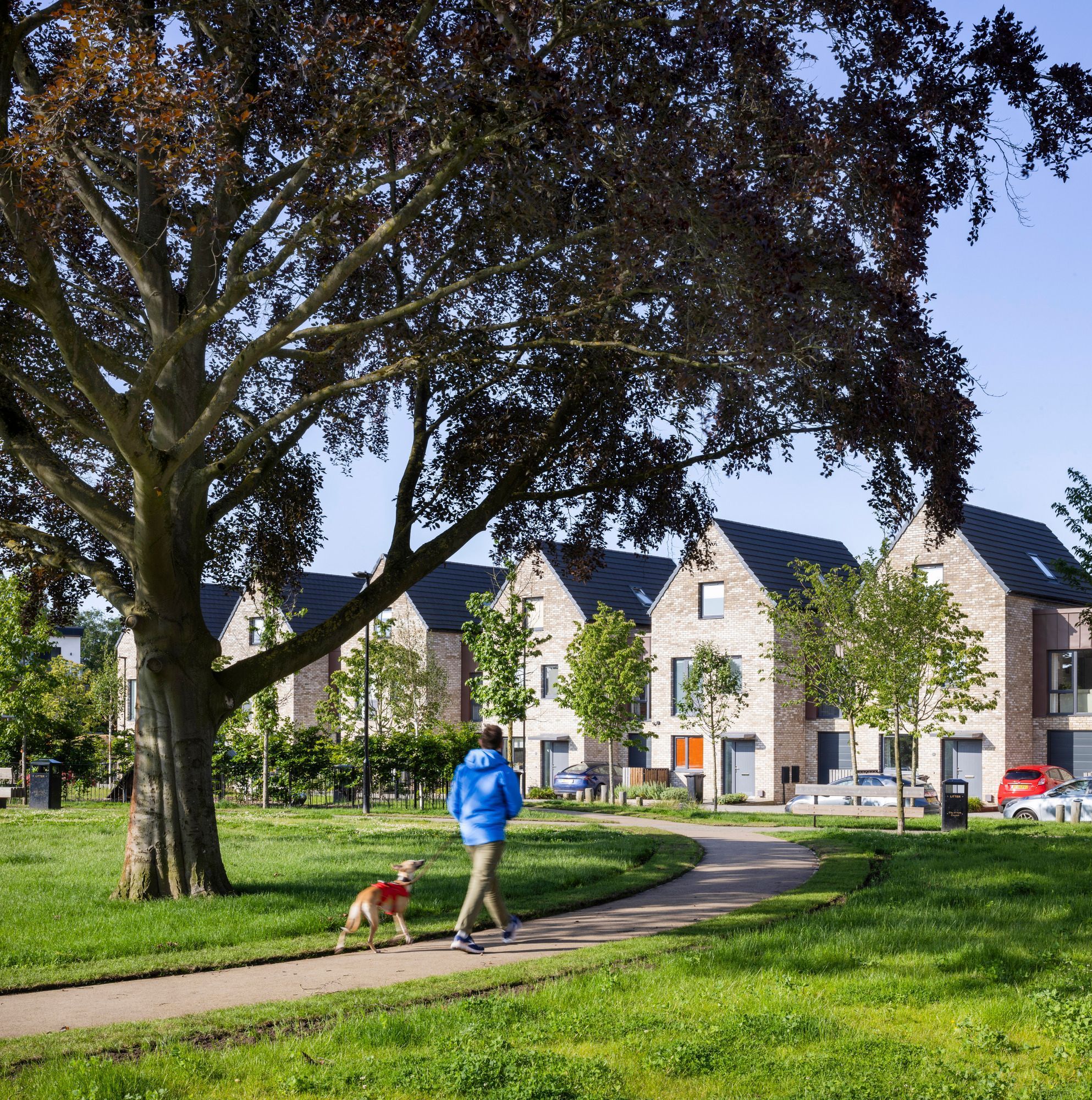 Lowfield Green | BDP