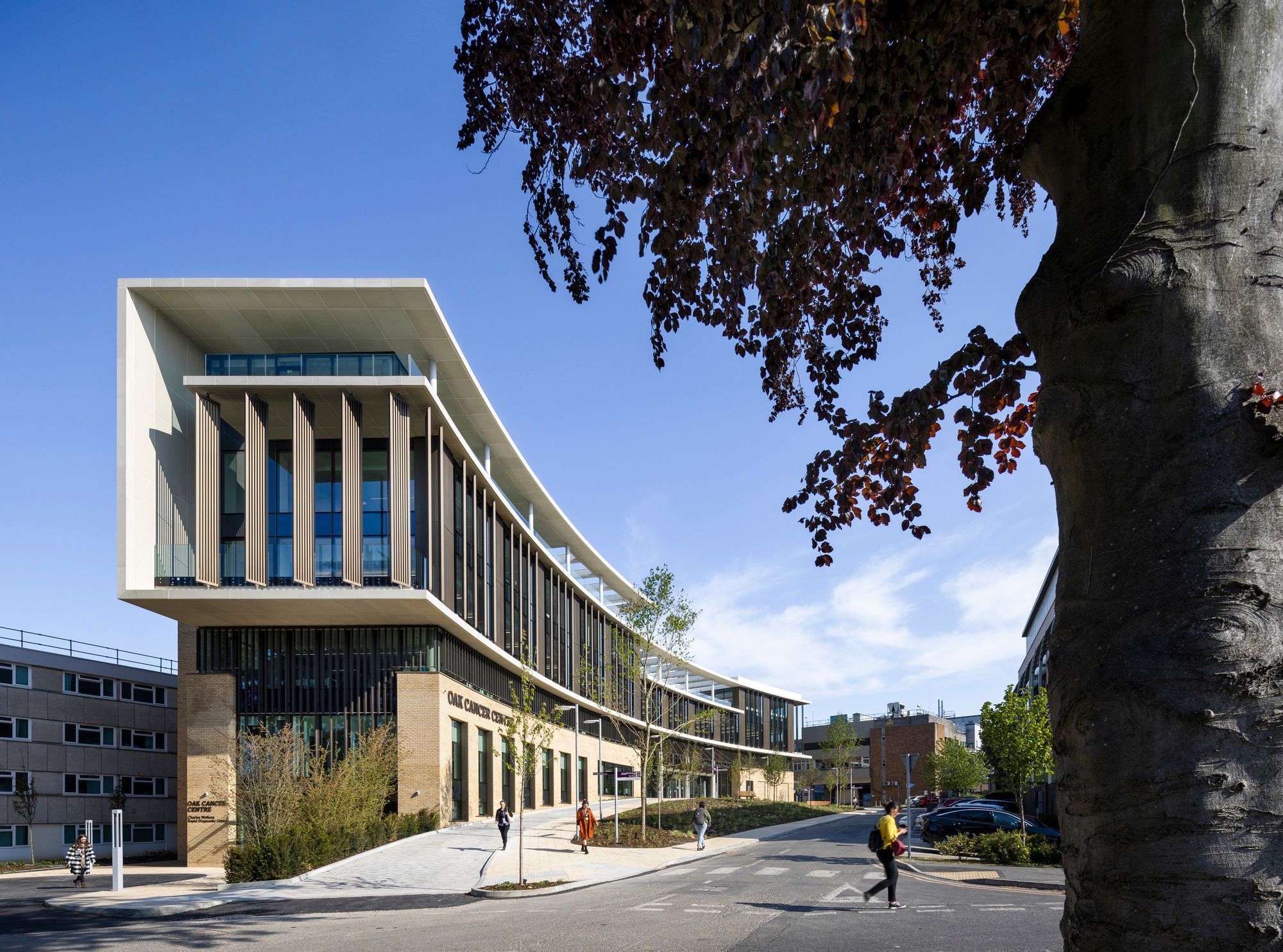 Healthcare | BDP