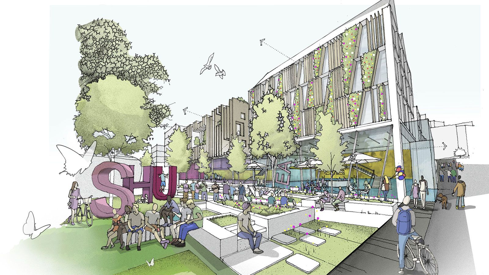 Sheffield Hallam University Masterplan | BDP